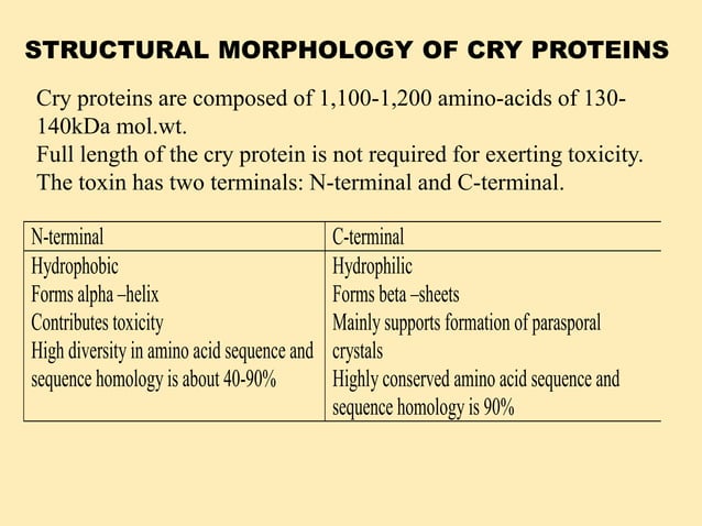 BACILLUS THURINGIENSIS 2013.ppt | Chemistry | Science