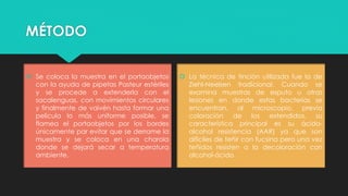 Baciloscopía | PPTX