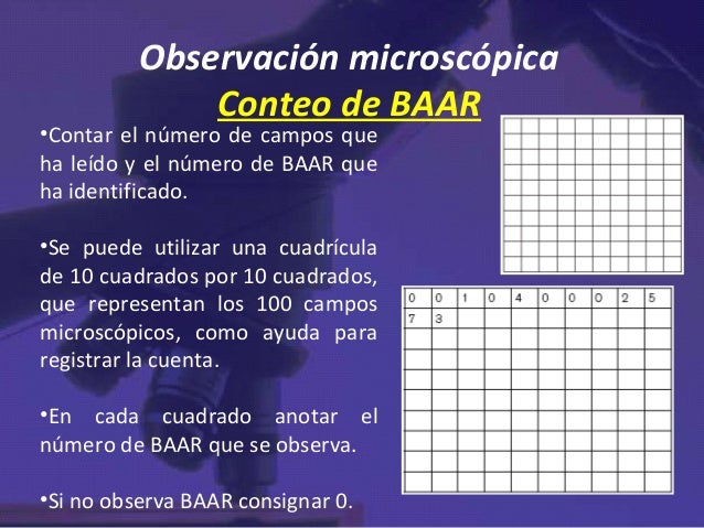 Baciloscopia set 2009