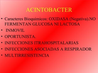 Bacilos gram no ferm. | PPT