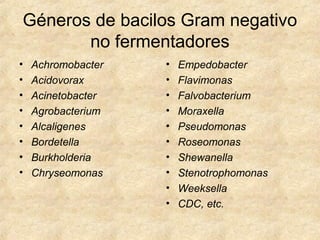 Bacilos gram negativo no fermentadores | PPT