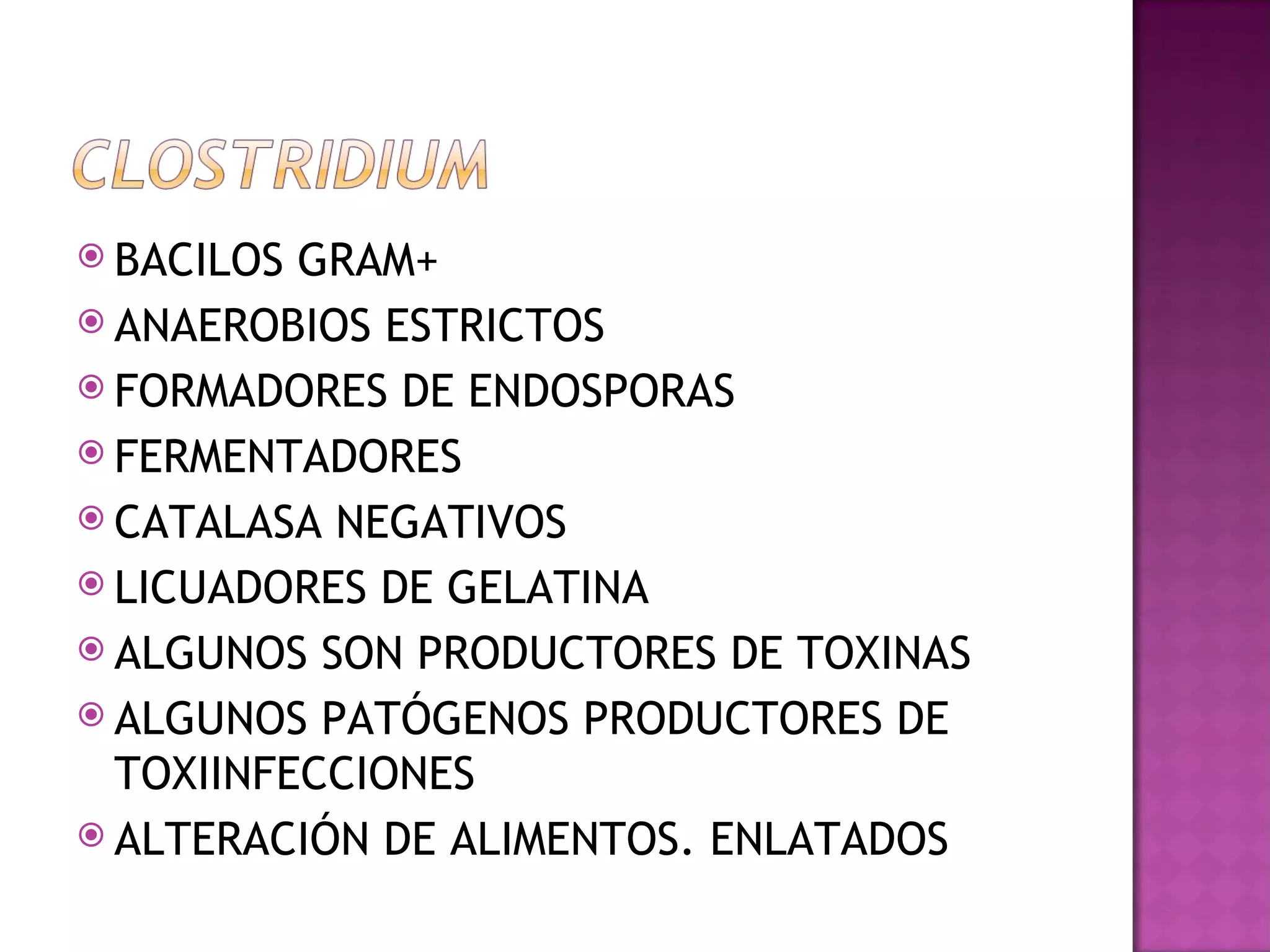 Bacilos gram positivos | PPT
