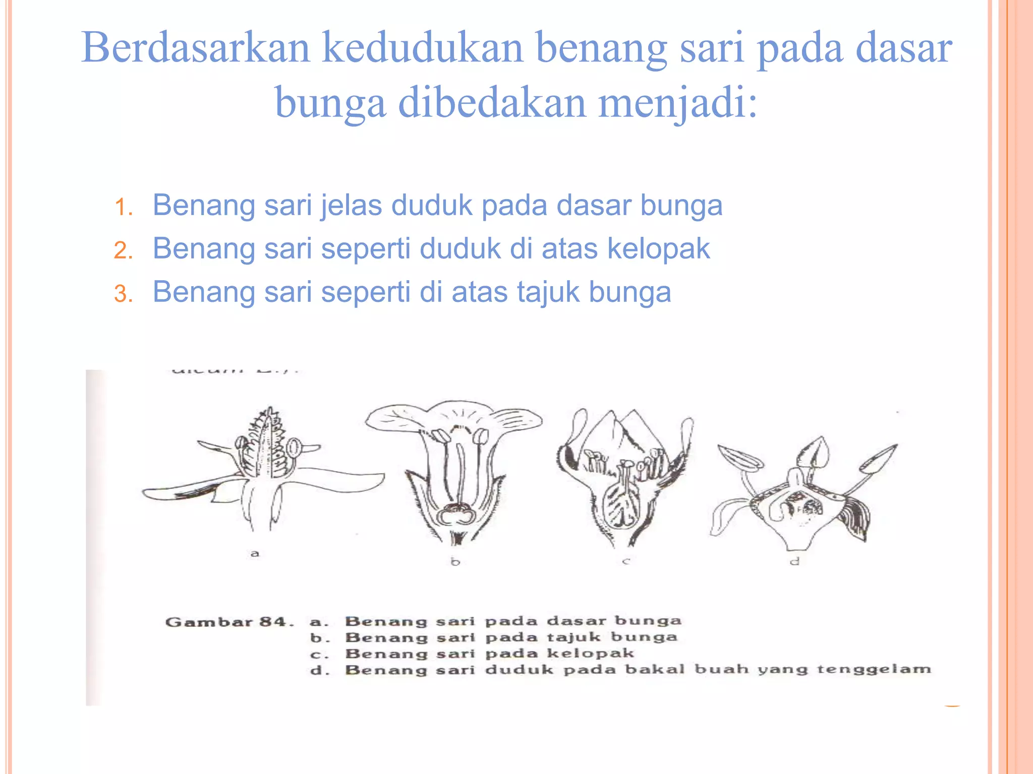 PPT Morfologi tumbuhan ( bunga ) | PPTX