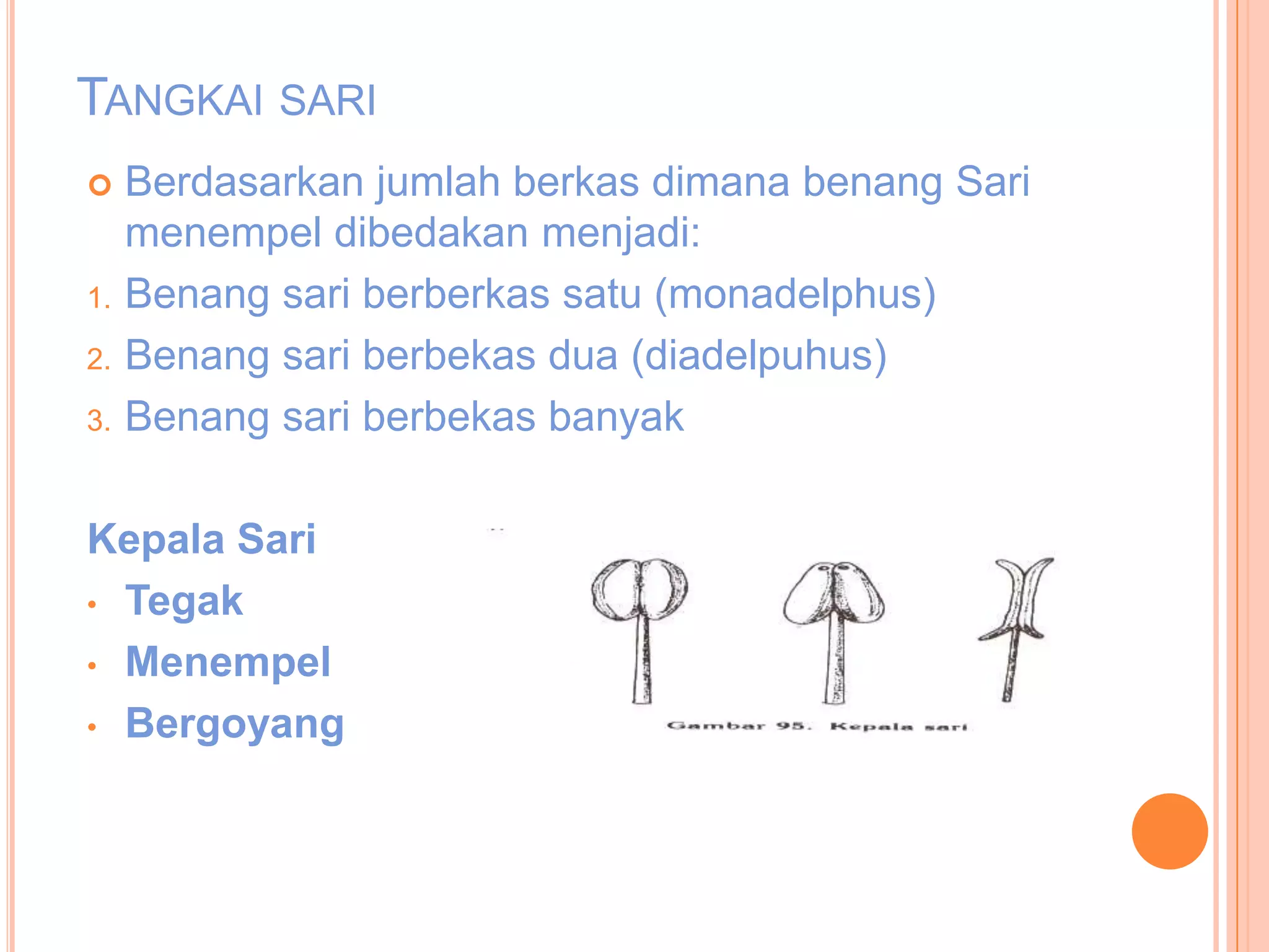 PPT Morfologi tumbuhan ( bunga ) | PPTX