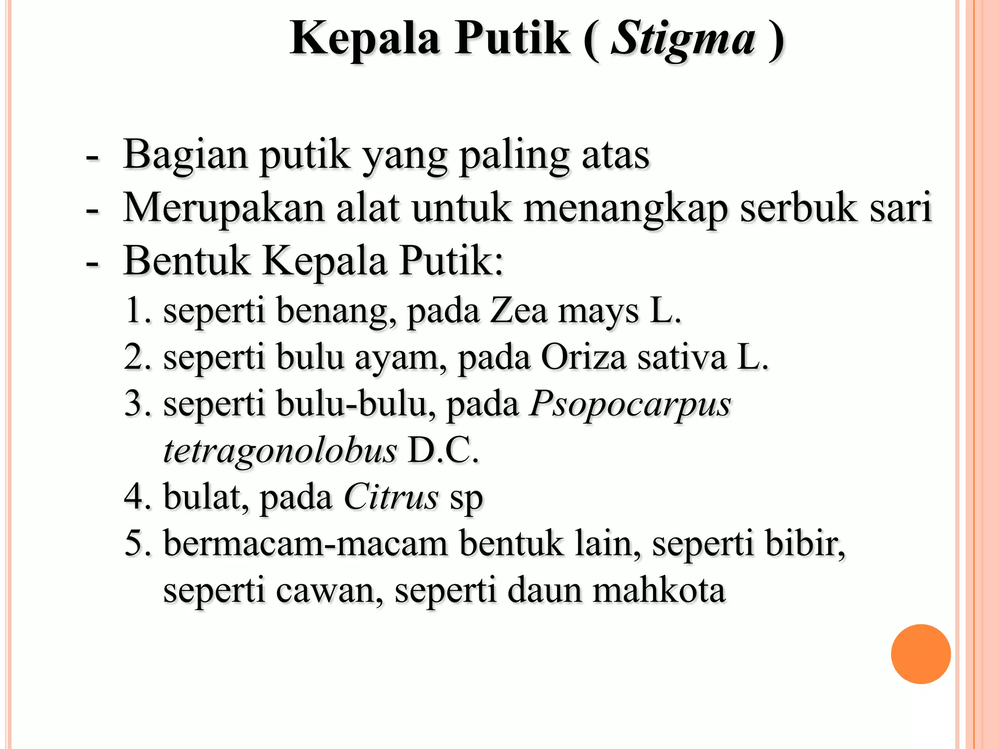 PPT Morfologi tumbuhan ( bunga ) | PPTX