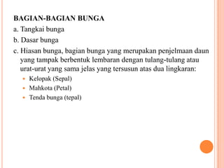 PPT Morfologi tumbuhan ( bunga ) | PPTX