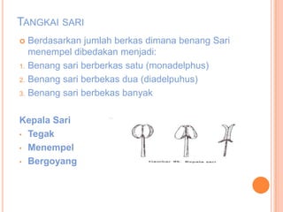 PPT Morfologi tumbuhan ( bunga ) | PPTX
