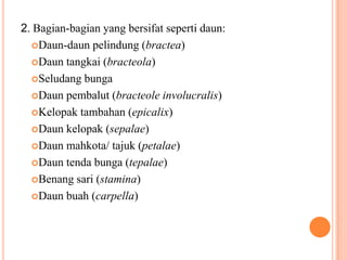 PPT Morfologi tumbuhan ( bunga ) | PPTX