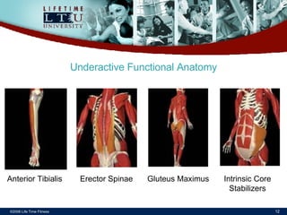 Intrinsic Core Stabilizers