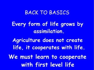 Back to Basics | PPT