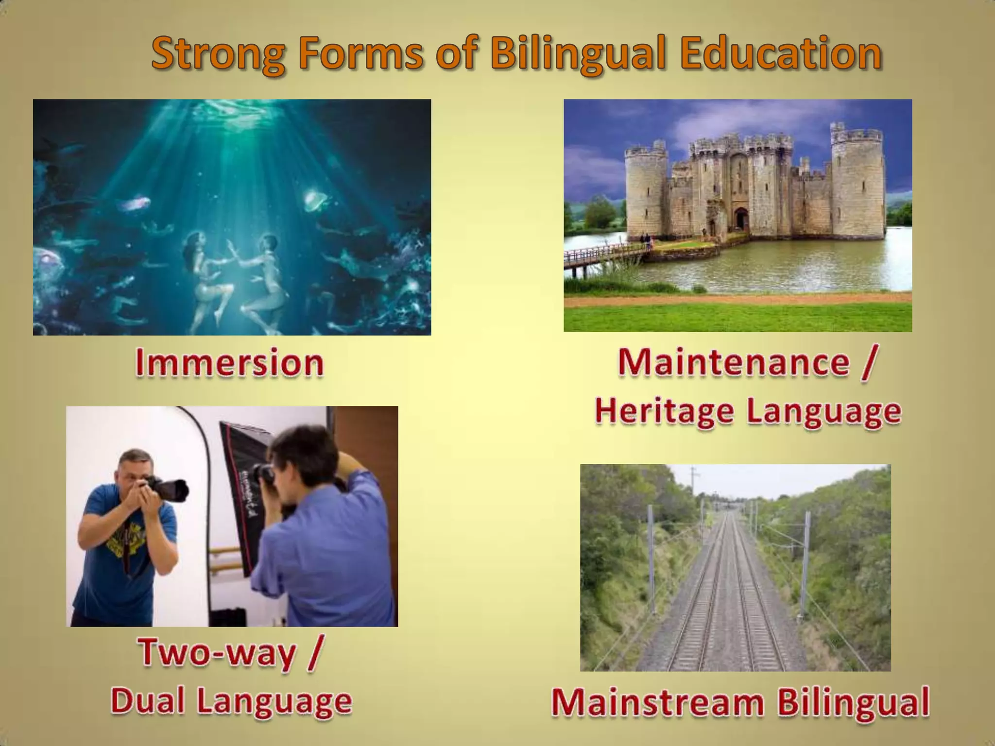 Analyzing Types of Bilingual Education | PPTX
