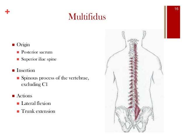 Back and ab (part 2)