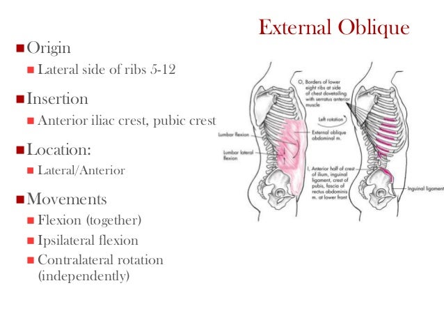 Back and ab (part 2)