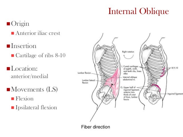 Back and ab (part 2)