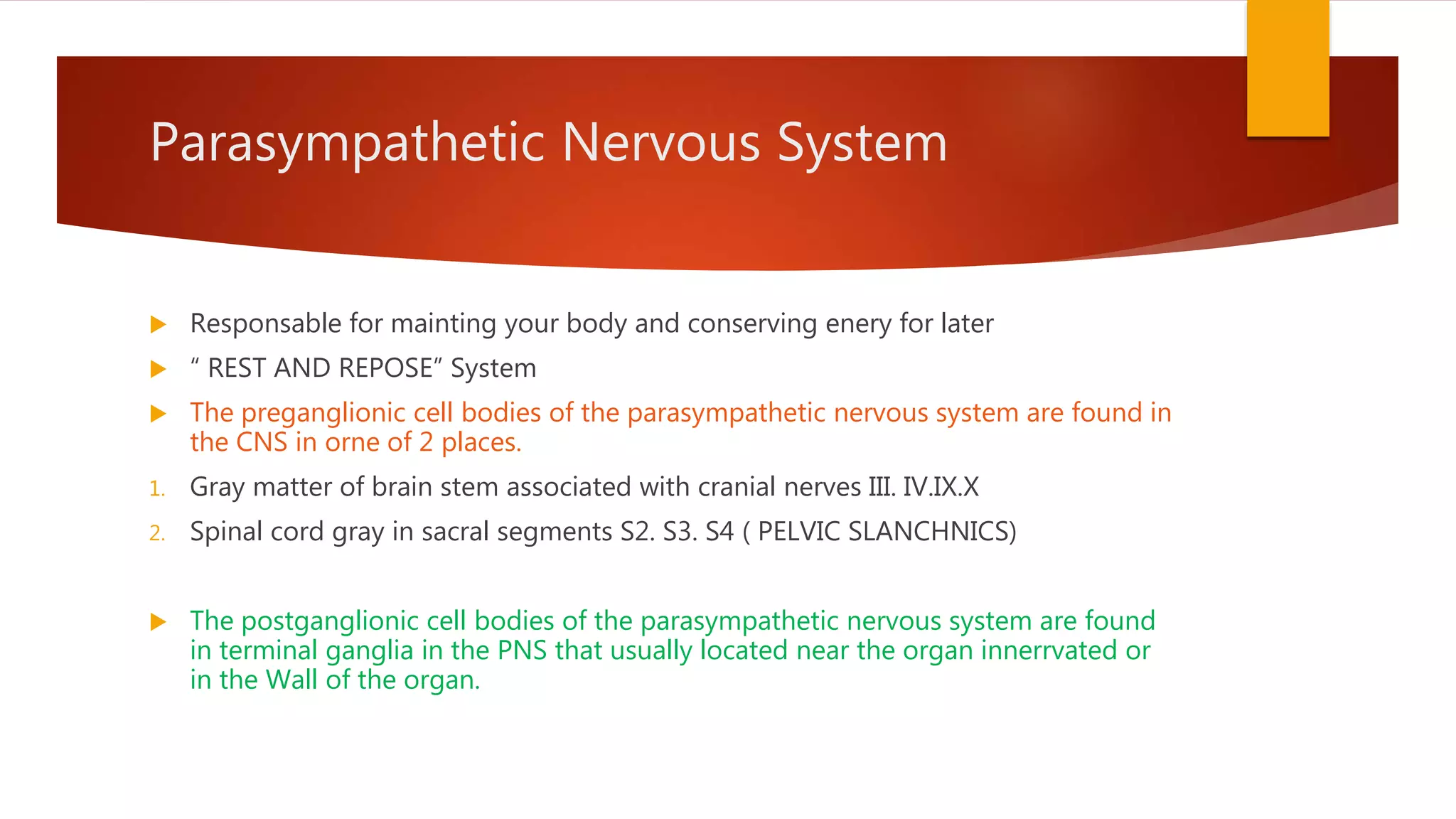 Back and autonomic nervous system | PPT