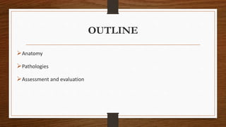 Back assessment & evaluation. By Philans Cosmos Ankrah | PPSX