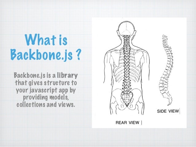Backbone Backbone
