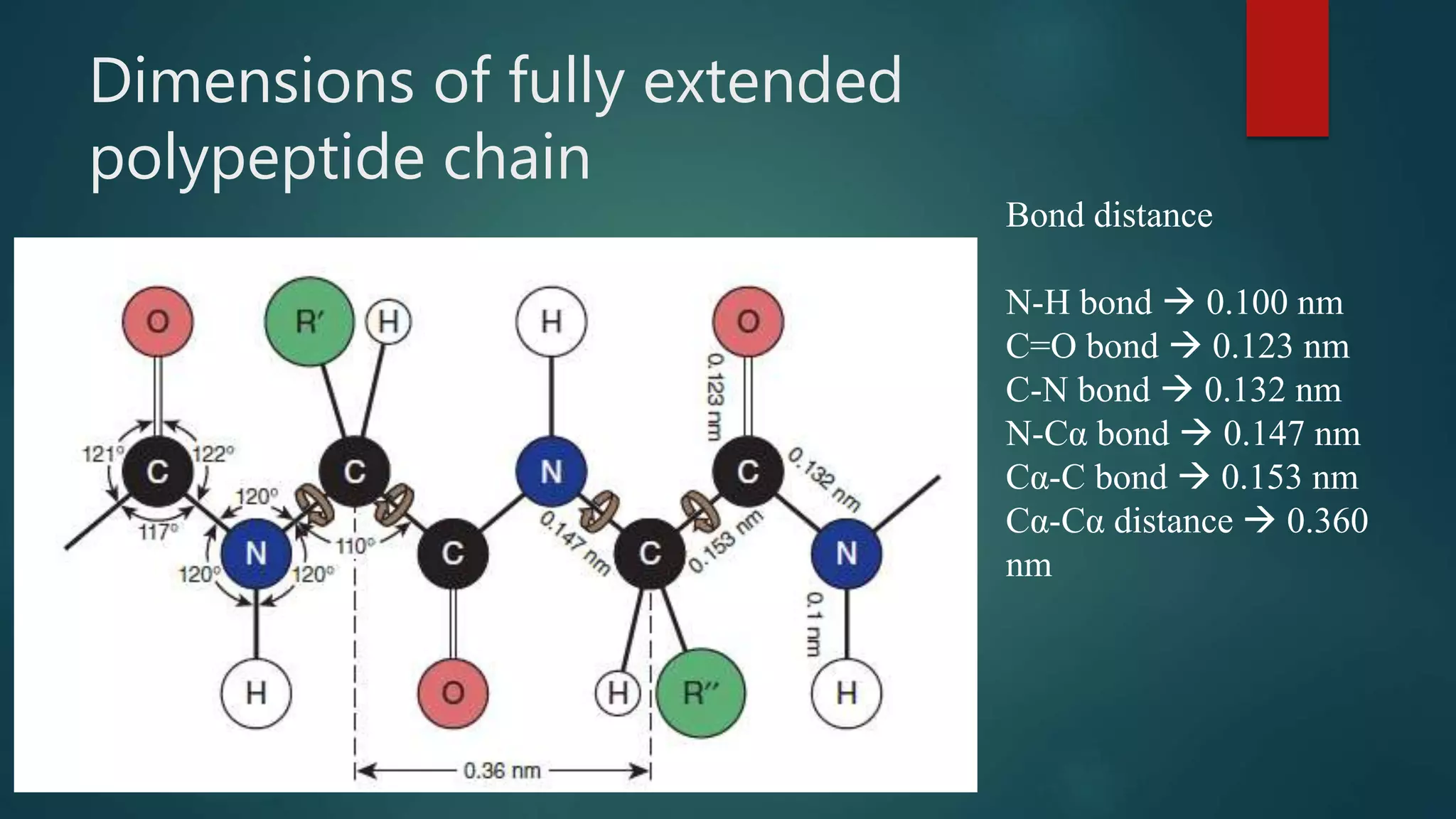 Backbone of peptide chain | PPT