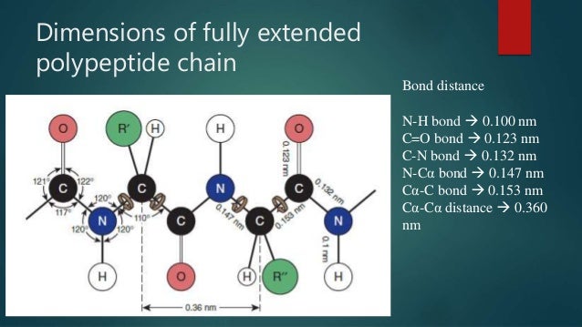 Backbone of peptide chain