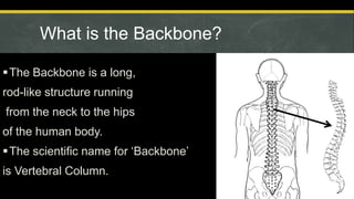 Backbone | PPTX