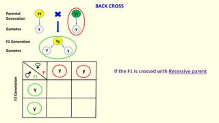 Back cross and test cross | PPTX
