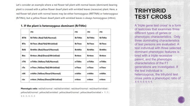 DIFFERENCE IN BACK CROSS AND TEST CROSS | PPTX | Genetics | Science