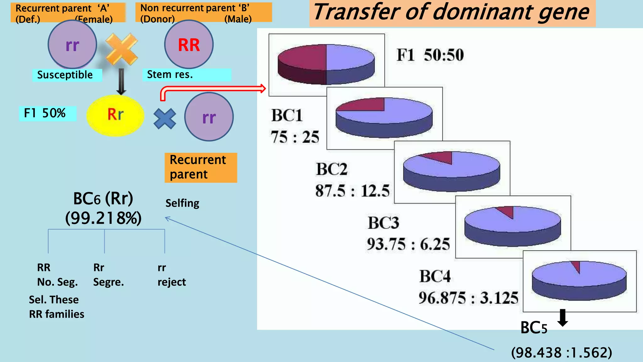 Handling of segregating generations -Backcross breeding | PPTX