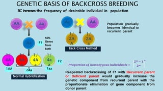 Handling of segregating generations -Backcross breeding | PPTX
