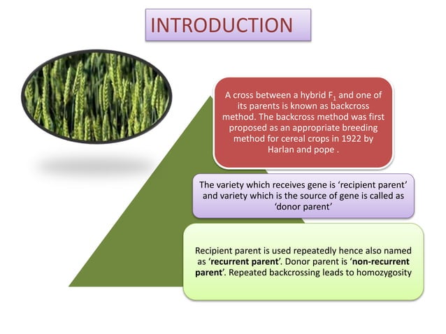 Back cross in recessive gene | PPTX | Gardening | Home & Garden