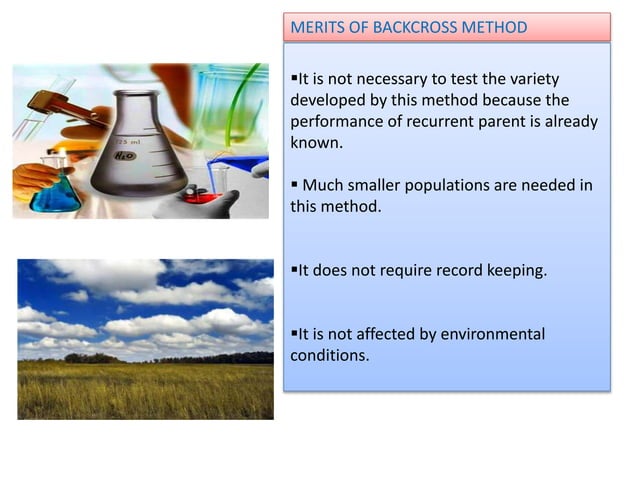 Back cross in recessive gene | PPTX | Gardening | Home & Garden