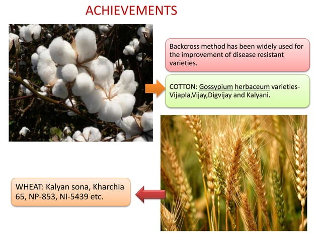 Back cross in recessive gene | PPTX | Gardening | Home & Garden