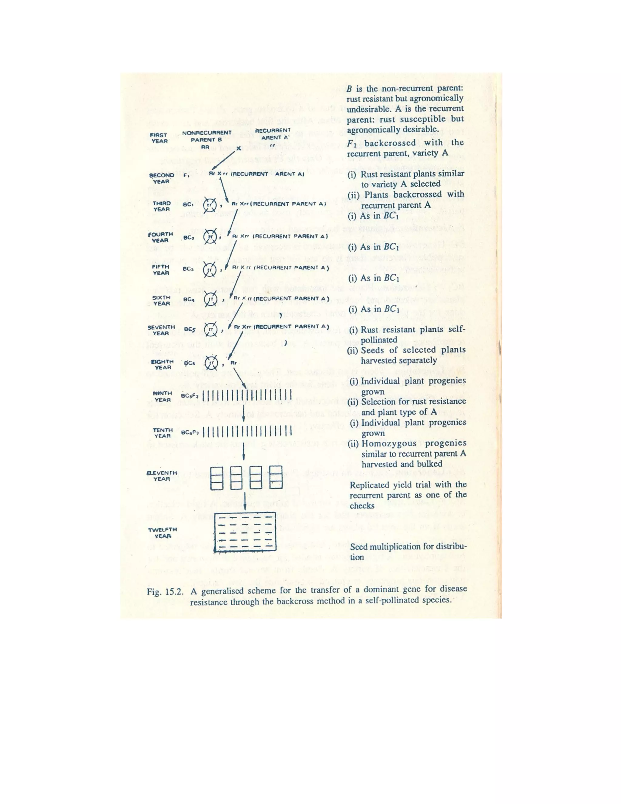 Back cross method Back Cross | PDF