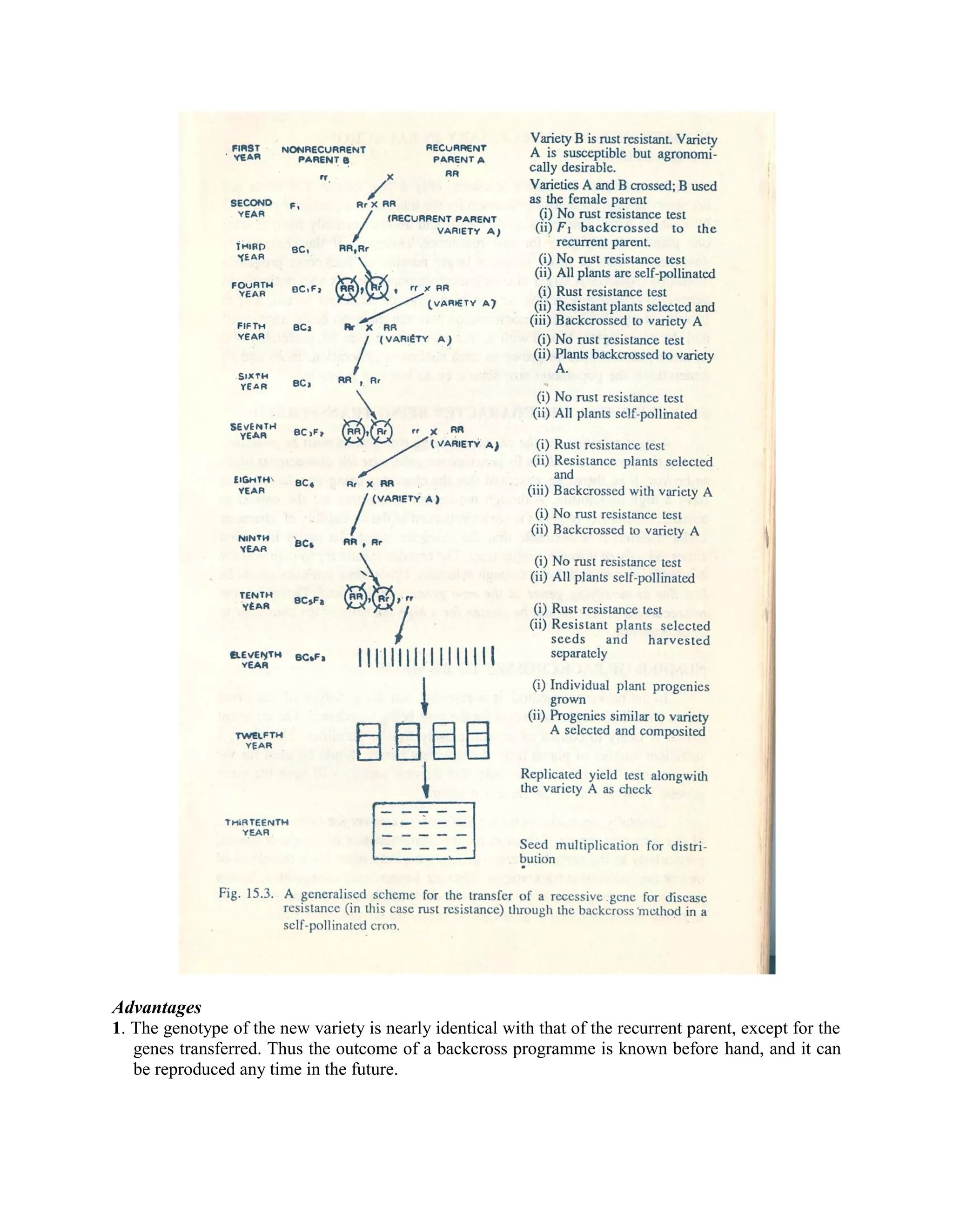 Back cross method Back Cross | PDF