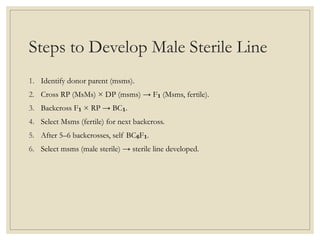 Backcross_Method_and_Male_Sterile_Line (1).pptx