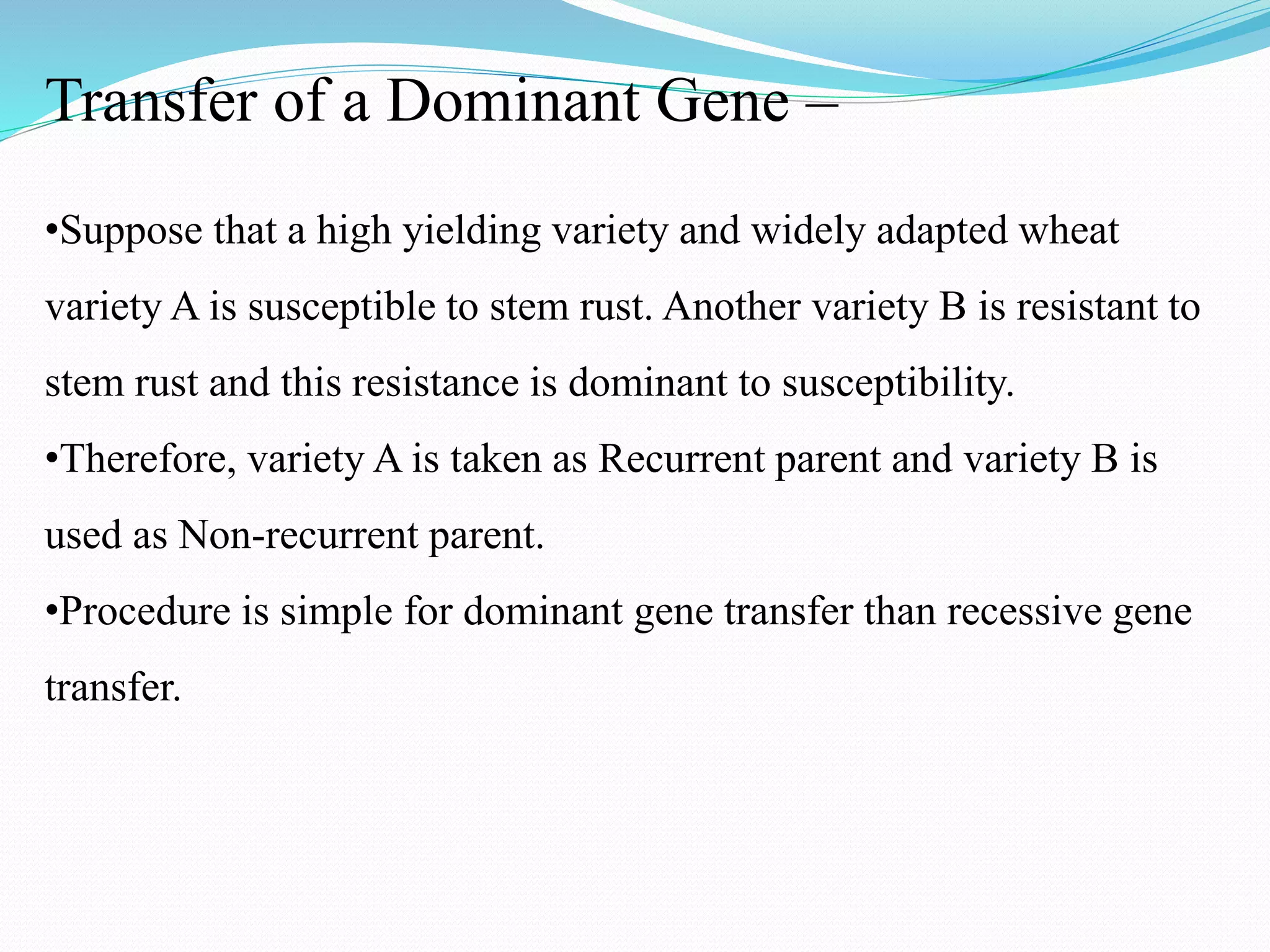 Backcross method for dominant and recessive gene transfer. | PPTX
