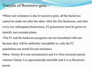 Backcross method for dominant and recessive gene transfer. | PPTX