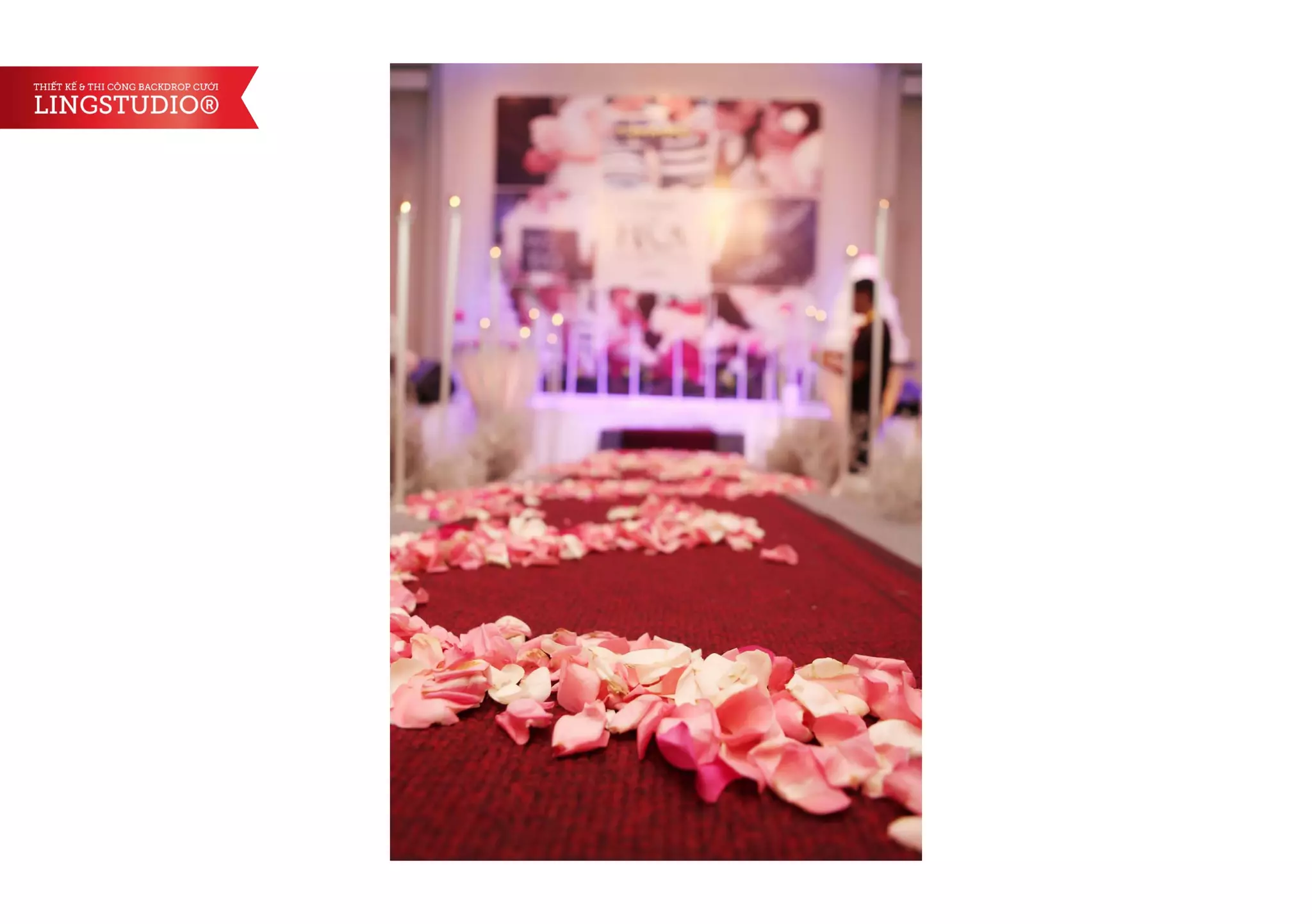 Backdrop presentation | PPT