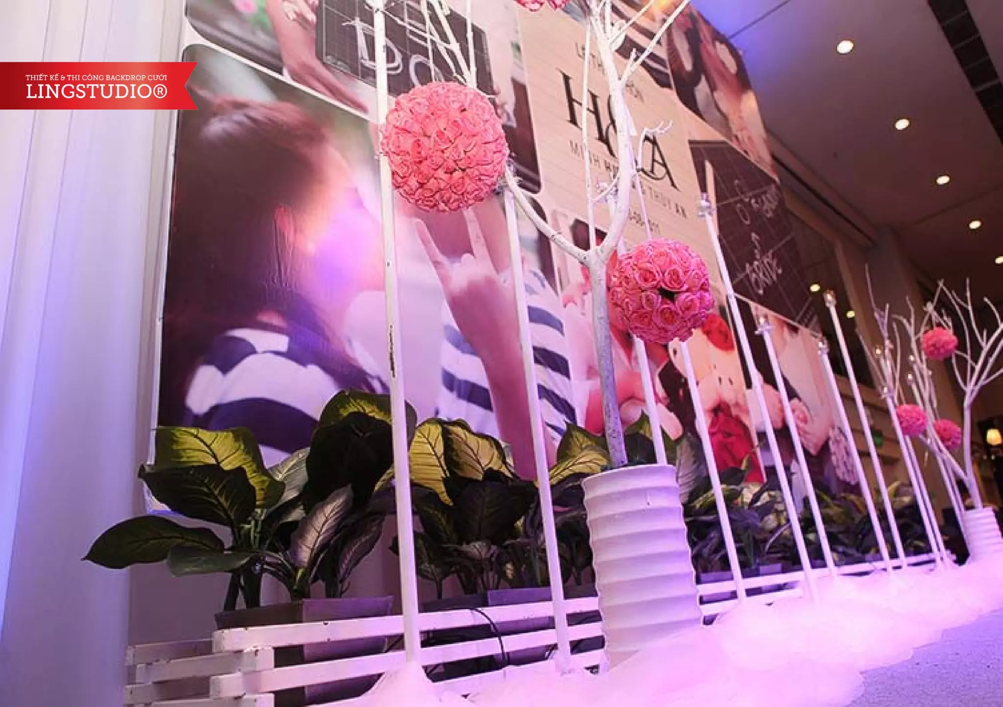 Backdrop presentation | PDF