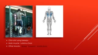 Back excercise new | PPTX