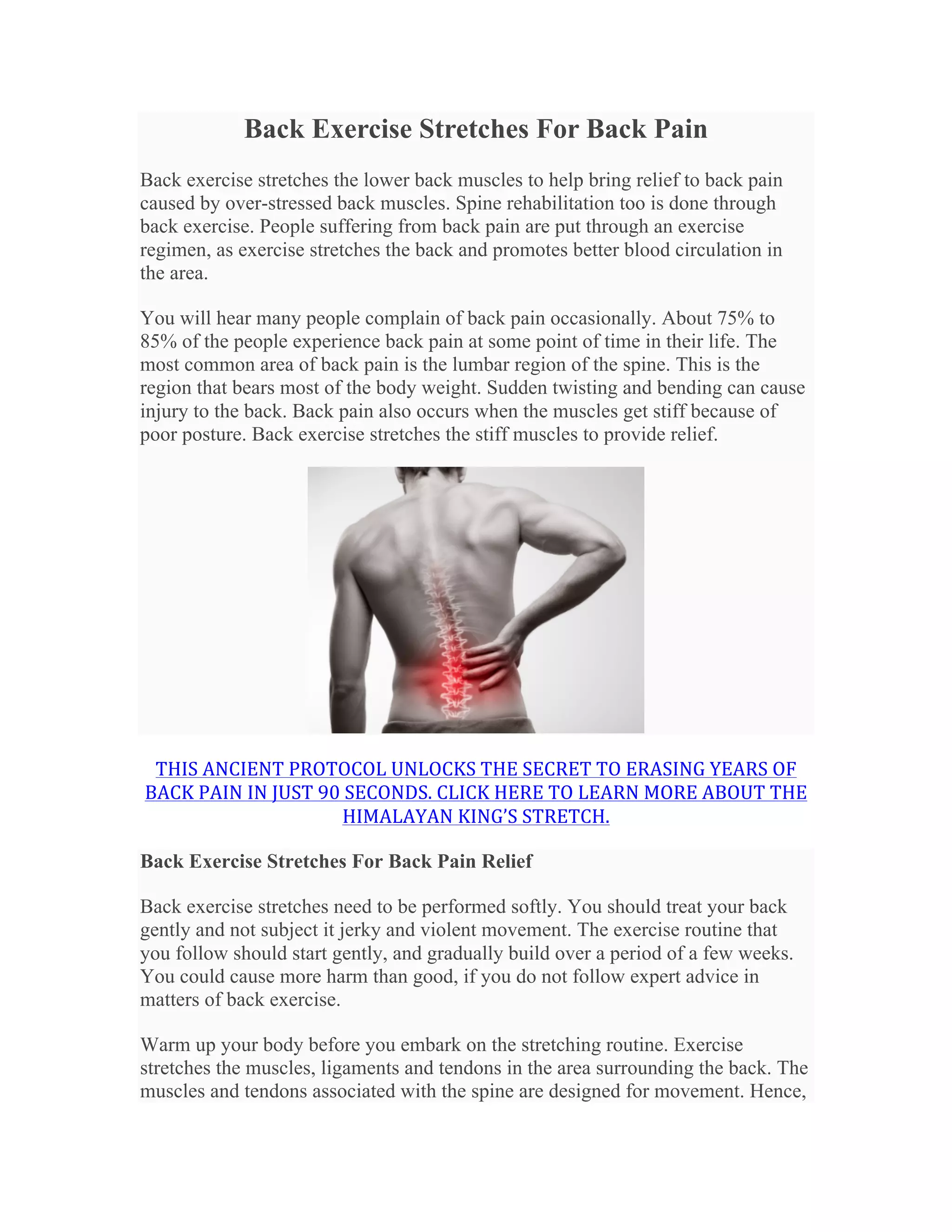 Back exercise stretches for back pain | PDF | Physical Therapy | Wellness