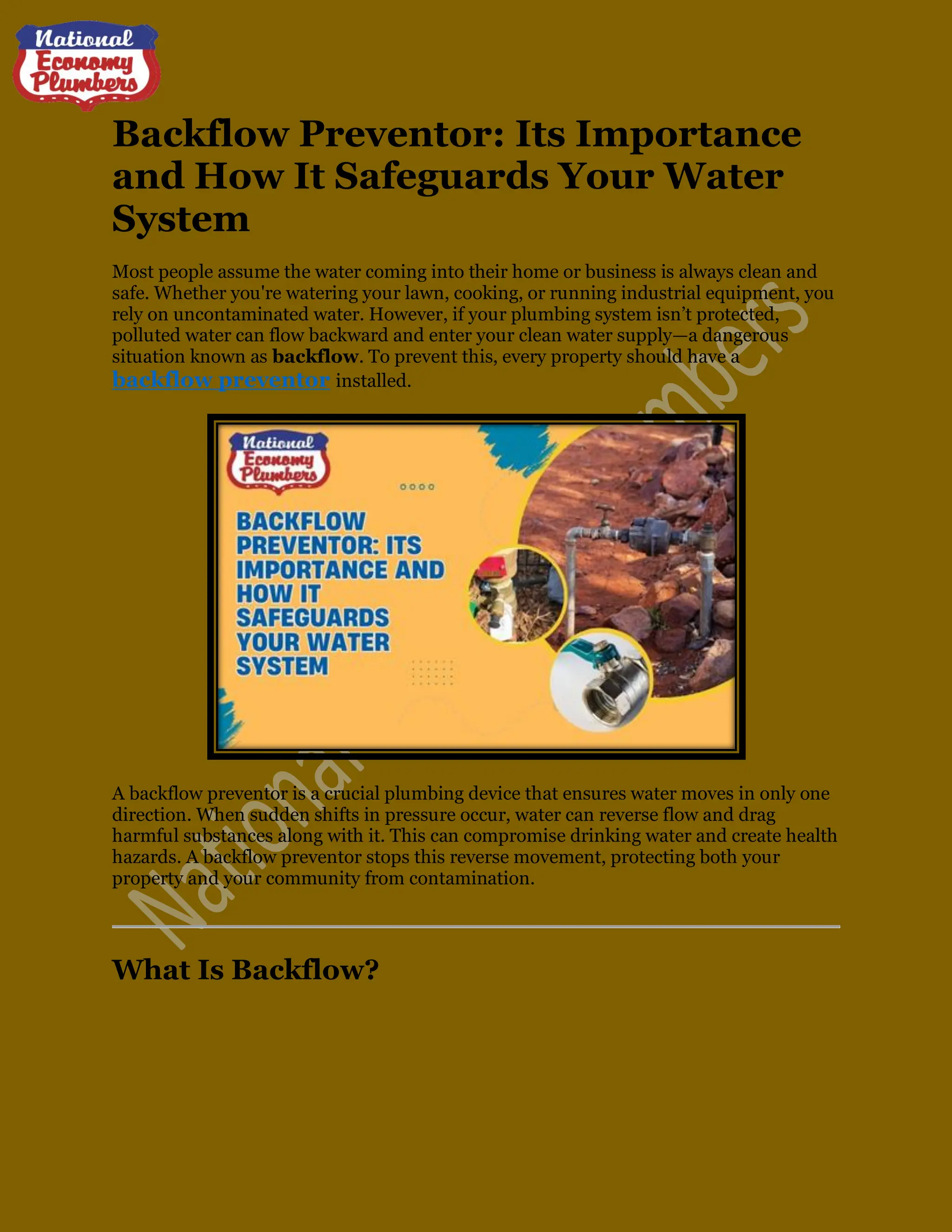 Backflow Preventor Its Importance and How It Safeguards Your Water ...