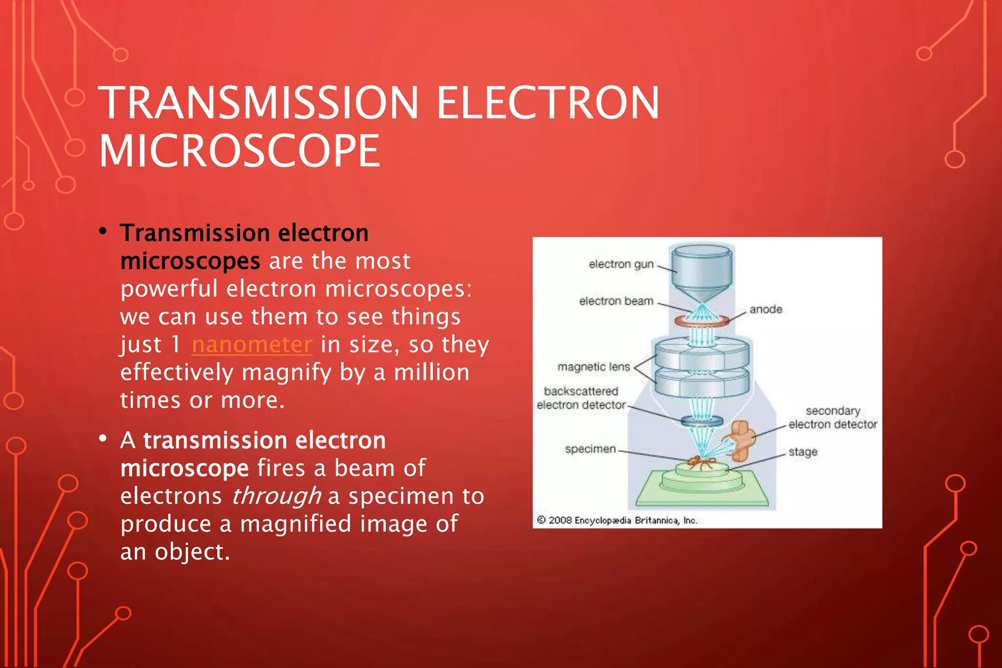 Light microscope vs. Electron microscope | PPTX