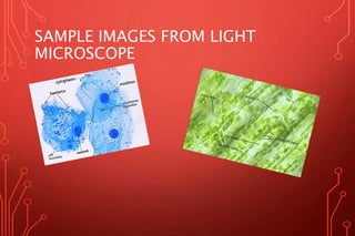 Light microscope vs. Electron microscope | PPTX