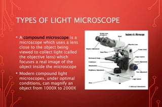 Modern Compound Light Microscope