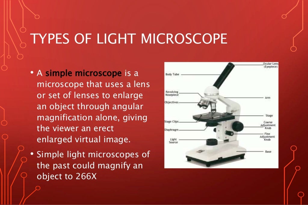 Light Microscope Vs Electron Microscope