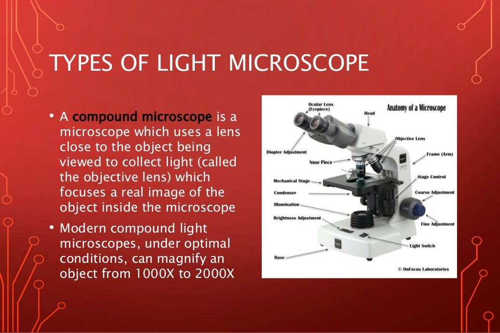 Light microscope vs. Electron microscope