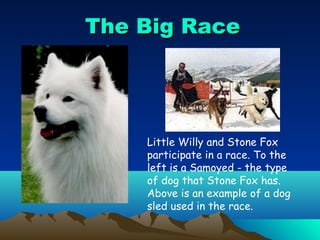 Stone Fox background information | PPT