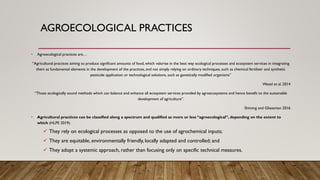 Agroecological Transformations: Background and Rationale | PDF