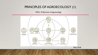Agroecological Transformations: Background and Rationale | PDF ...