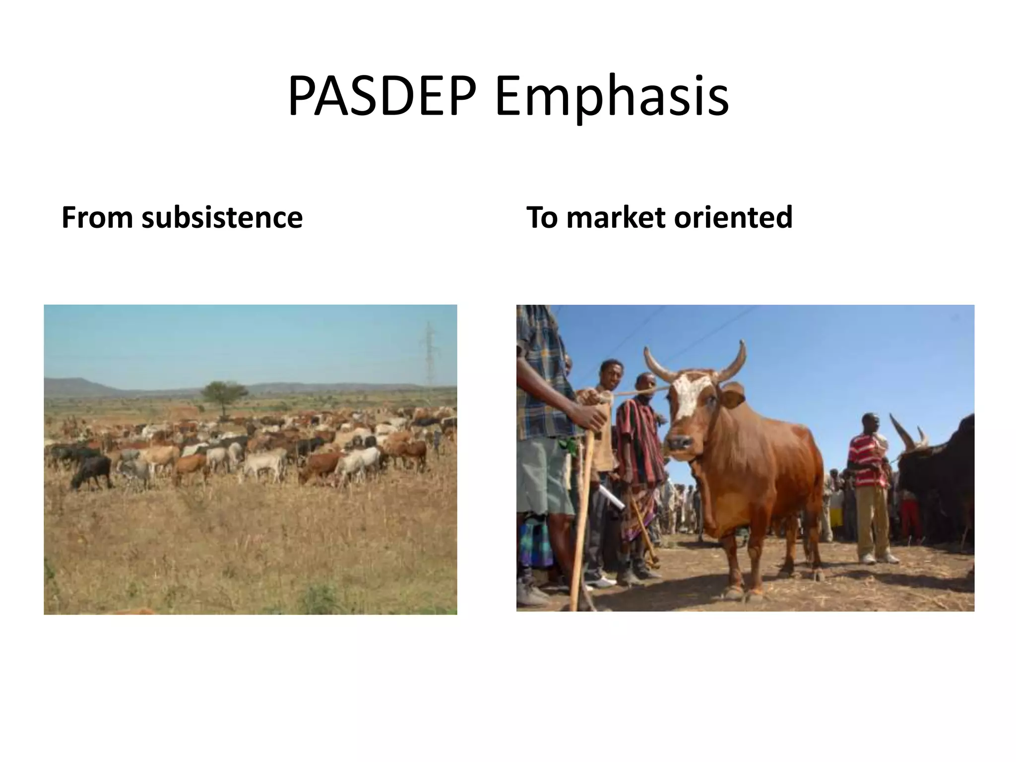 Background and approach ipms project | PPT